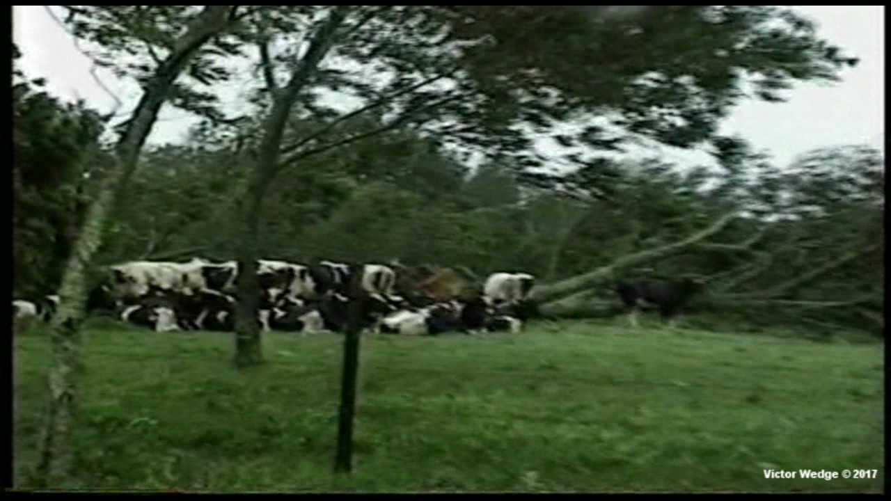 19970719 Hurricane Danny, Mobile Bay, Alabama - July 19, 1997 - YouTube