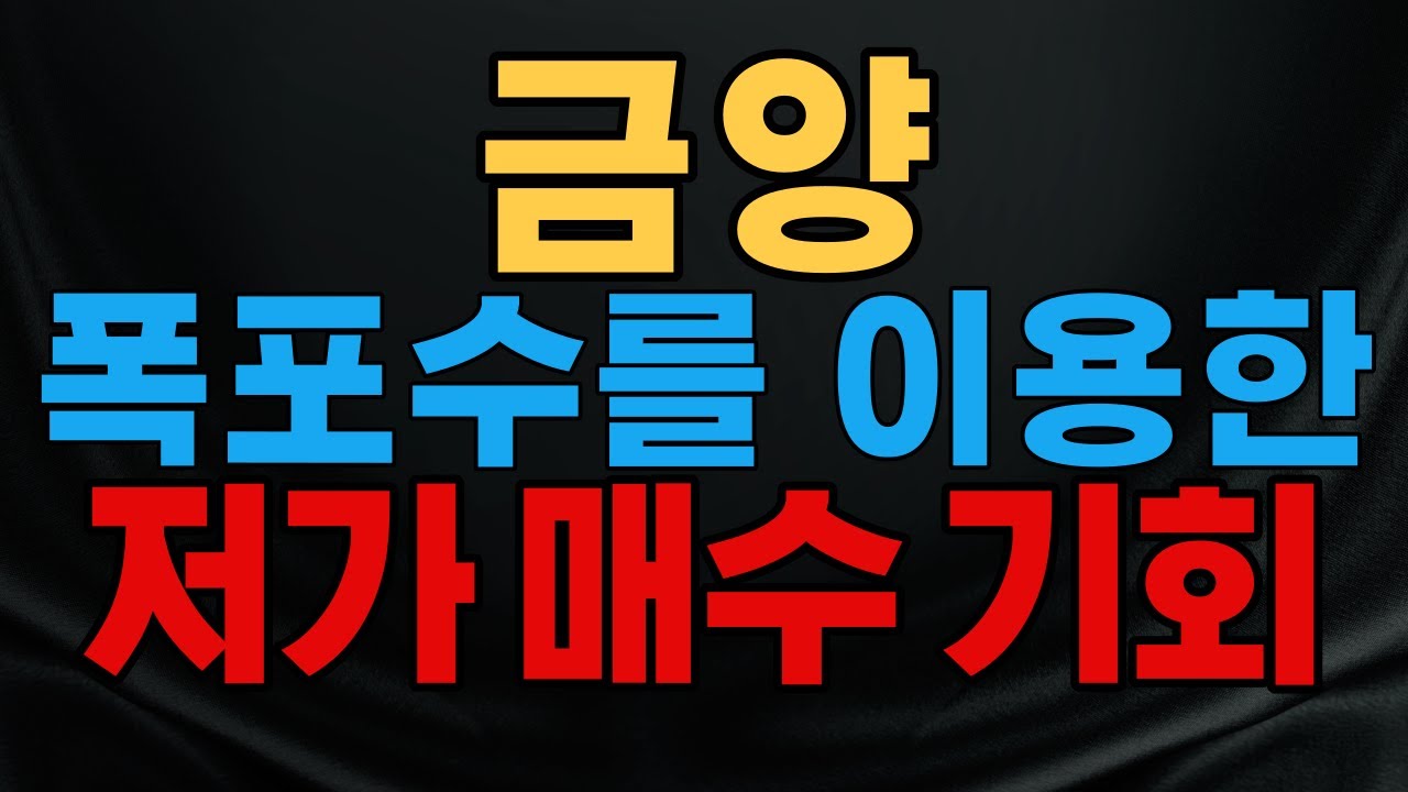 2차전지관련주 금양 리튬대장주 확인금양금양주가전망금양주가2차전지2차전지관련주2차전지주가전망박순혁밧데리아저씨