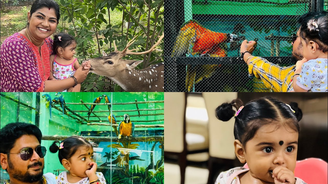 RIYA BABY FIRST TIME TOUCHING WILD ANIMALS😱// WE GOT SHOCKED😳#zoo # ...