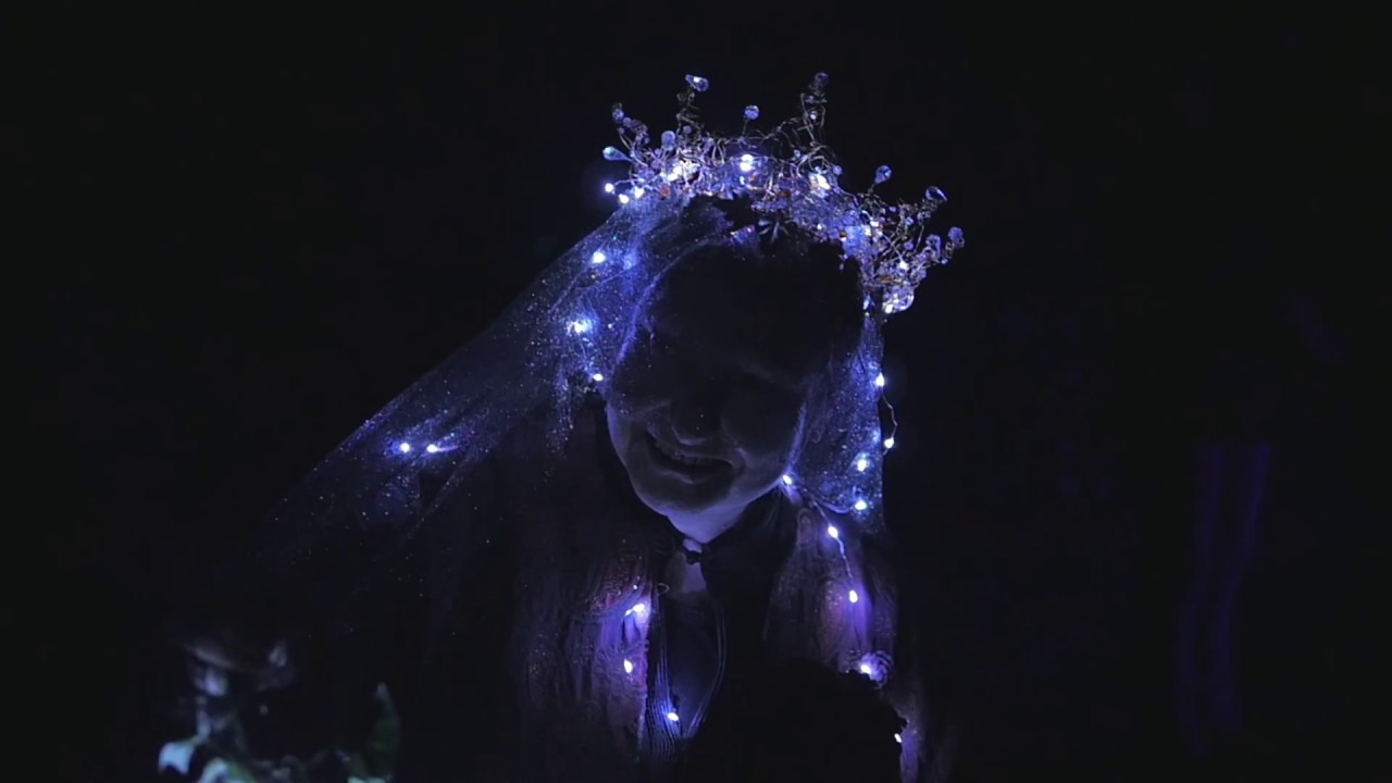 Eden Project - Festival of Light and Sound - YouTube