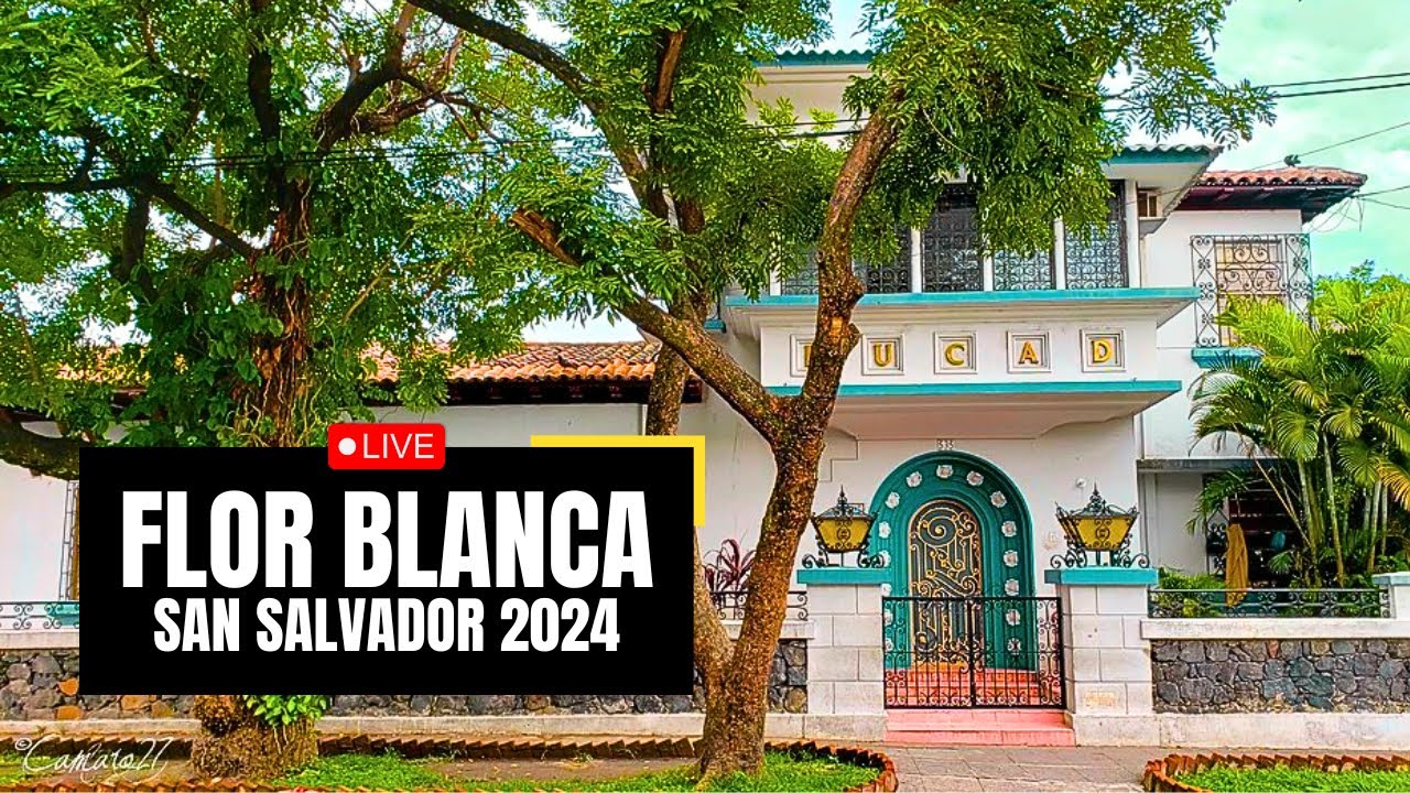 Explorando COLONIA FLOR BLANCA de SAN SALVADOR en sus 90 años - EL ...