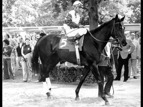 Ruffian Tribute - YouTube