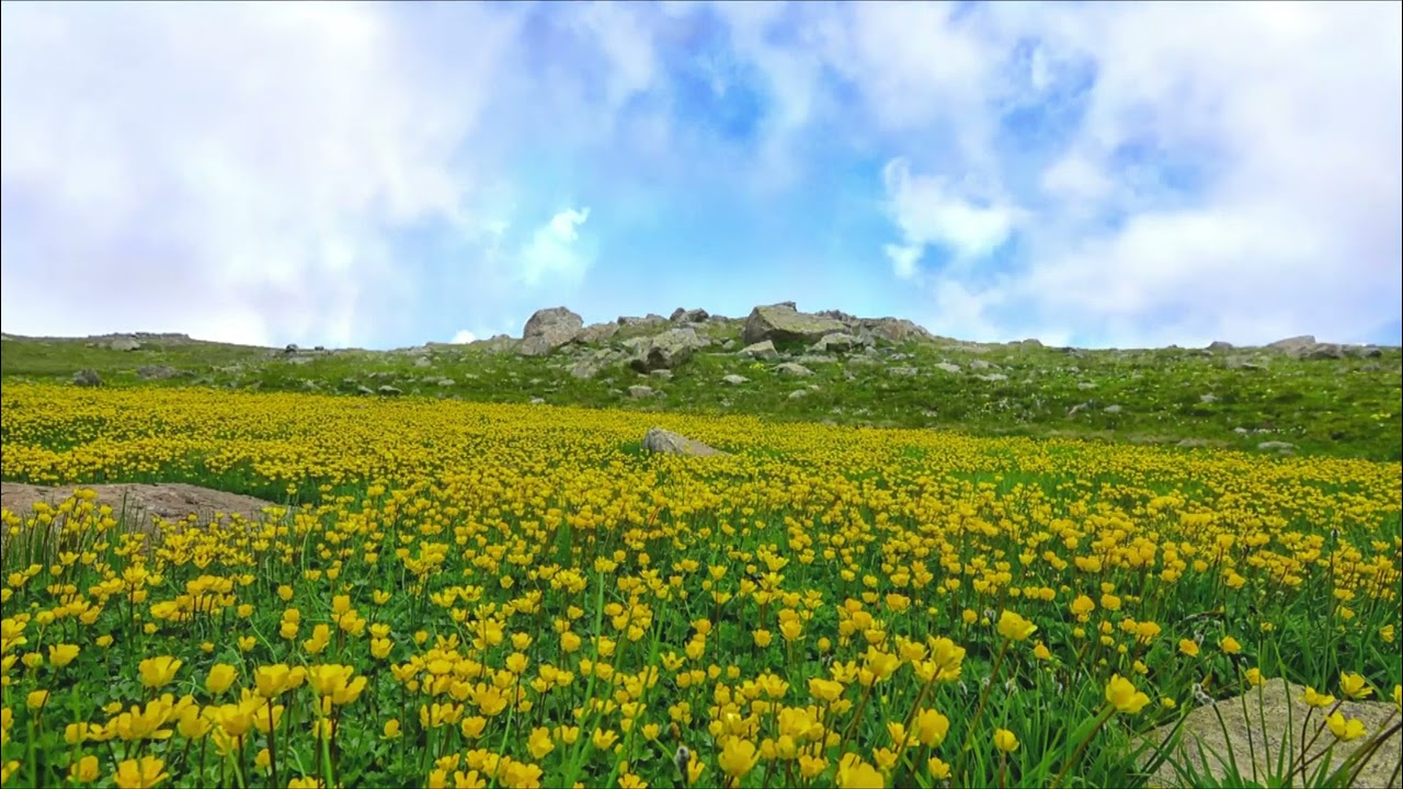 Landscape Nature Video, Free Stock Videos for Commercial Use - YouTube