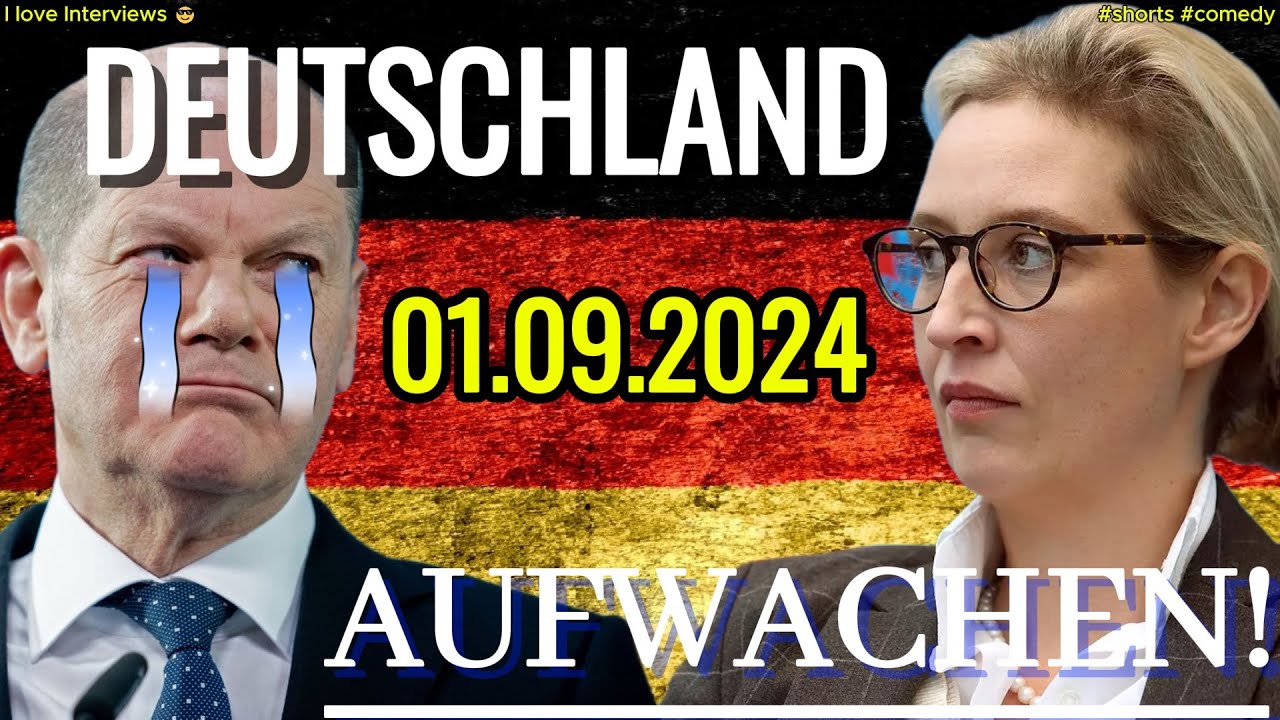 "AMPEL" schläft unter ALICE WEIDEL's OHRFEIGENBAUM💥IHRE BESTE UND ...