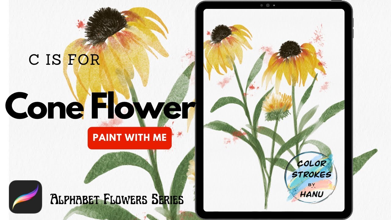 Digital Watercolor Flowers in Procreate | How to paint a Coneflower ...