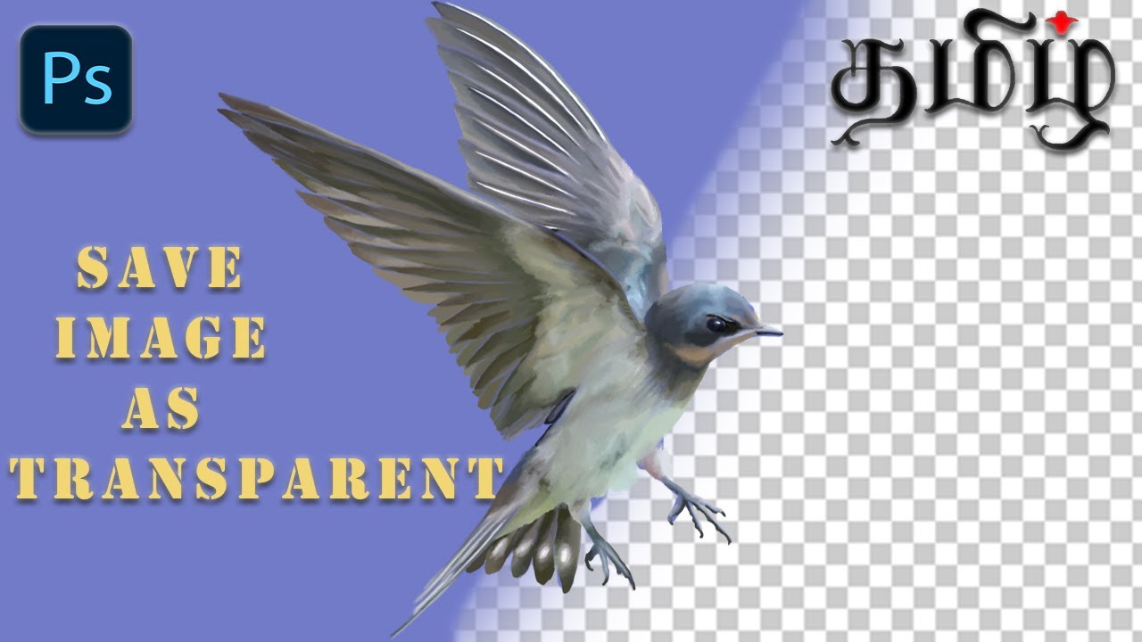 How to save image with transparent background - YouTube