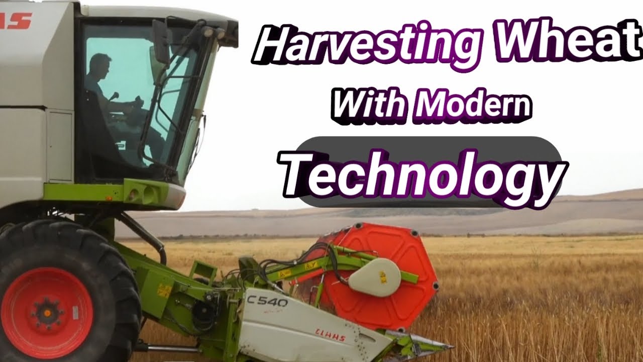 Harvesting Wheat With Modern Technology // Harvesting Wheat with modern ...