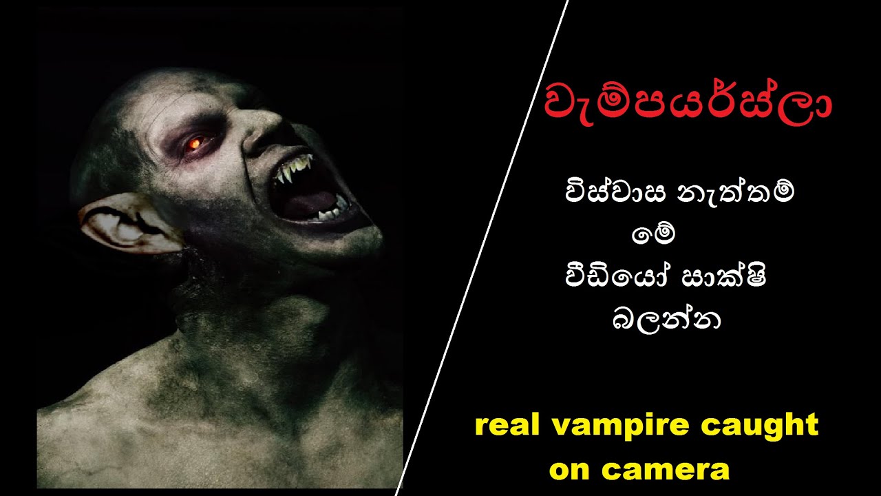 වැම්පයර්ස්ලා විස්වාස නැත්තම් මේ වීඩියෝ සාක්ෂි බලන්න-real vampire caught ...