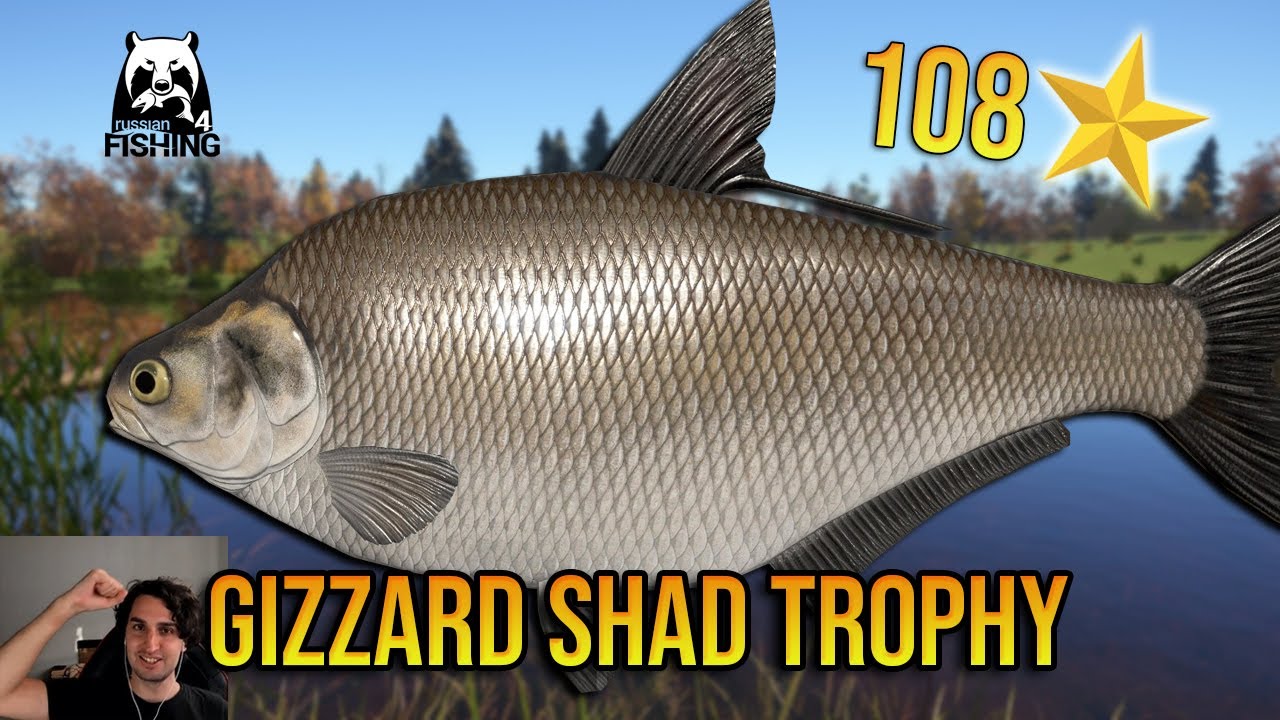 Gizzard Shad Trophy at Elk Lake - Russian Fishing 4 - YouTube