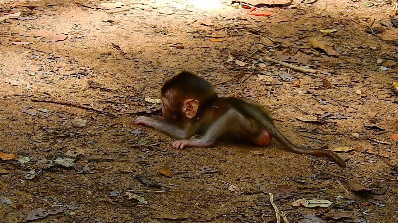 Libby leave baby Rainbow staying alon - YouTube
