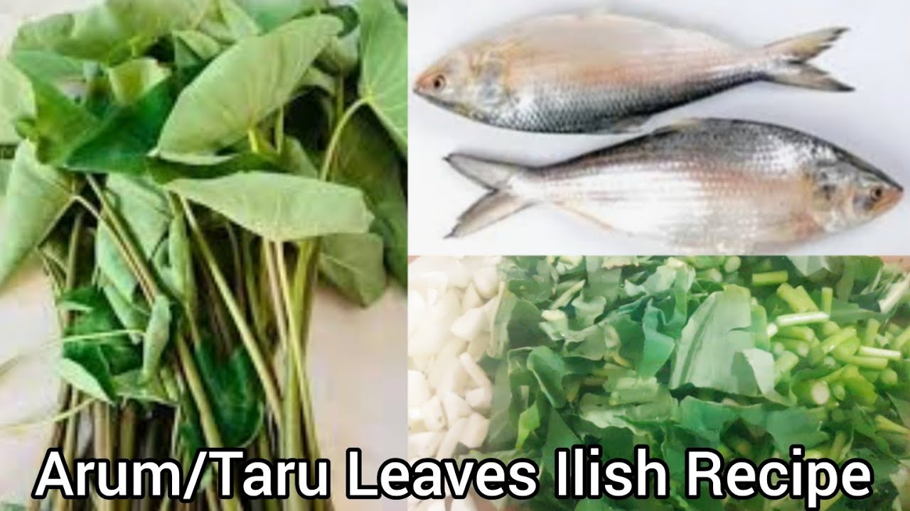 Did You try the most Popular Benali Recipe/Arum Leaves Fish recipe/Ilish fish with Taru leave ...