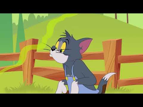 Tom & Jerry - Mantar Meselesi 🍀
