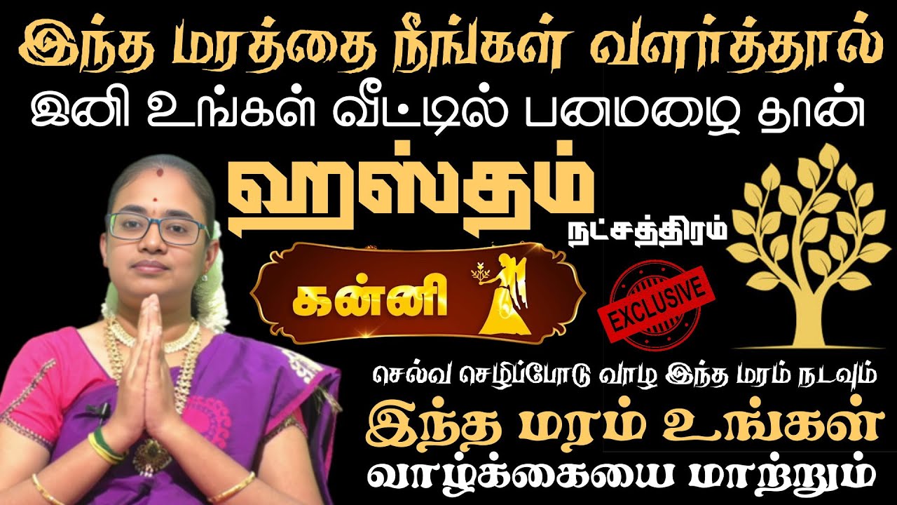 அஸ்தம் நட்சத்திரத்தின் வாழ்வை மாற்றும் மரம் | The life of the star ...