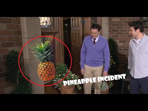 HIMYM- Ananas Olayı Açıklaması (Türkçe Çeviri)