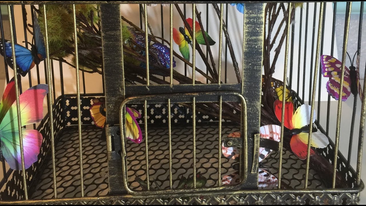 DIY Butterfly Garden in Bird Cage with Magnetic Butterflies - YouTube