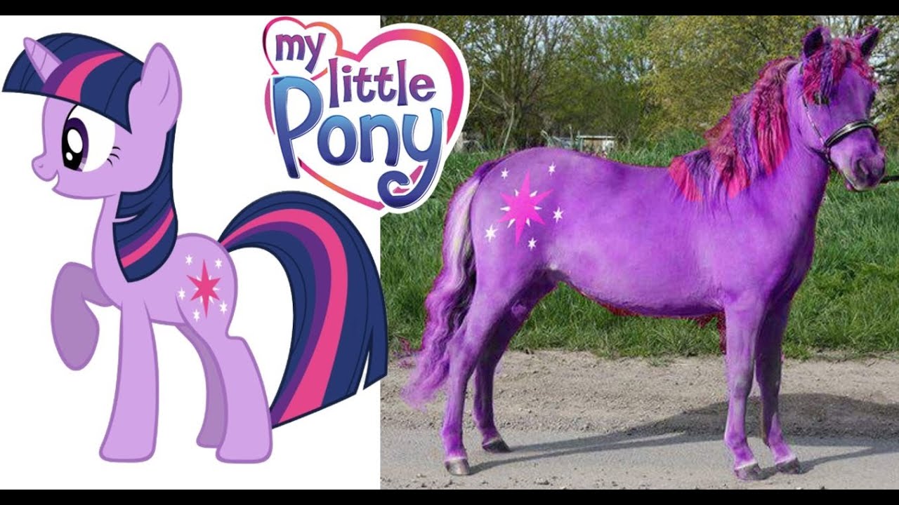 My Little Pony All Characters IN REAL LIFE | JD Cars Toys - YouTube