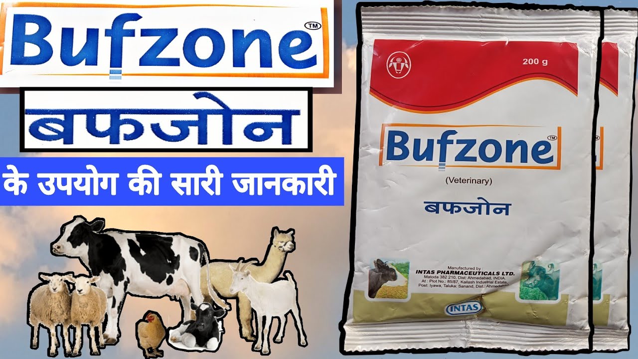 bufzone veterinary use hindi भूख बढ़ाने, अपच,गैस, बदहजमी की दवा # ...