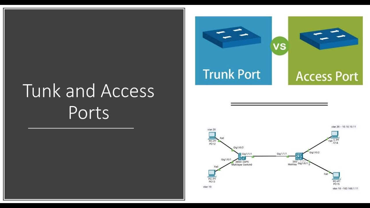 Tunk and Access Ports for Beginners and Pros – Configuration ...