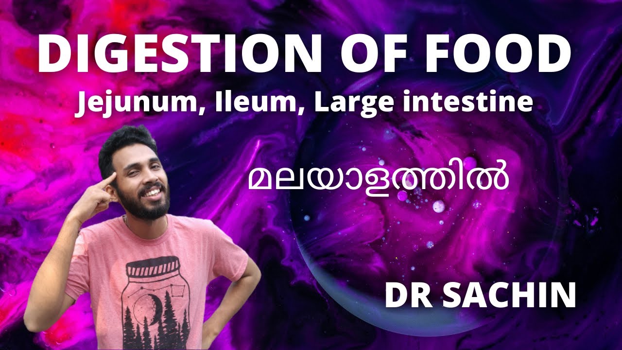 Digestion Of Food Jejunum Ileum Large Intestine Malayalam Class digestion-of-food-jejunum-ileum-large-intestine-malayalam-class
