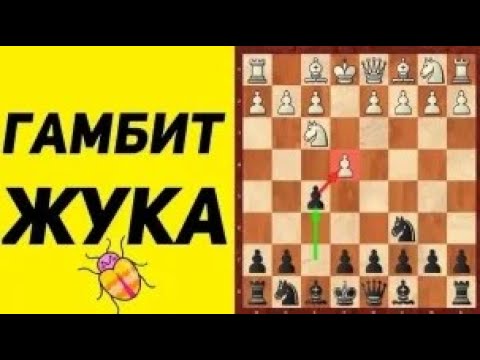 Шахматы. РИСКОВАННЫЙ Дебют за черных против 1.Е2-Е4. Школа шахмат d4-d5.