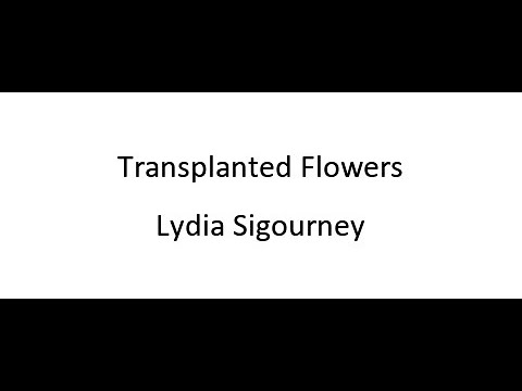 Transplanted Flowers - Lydia Sigourney - YouTube