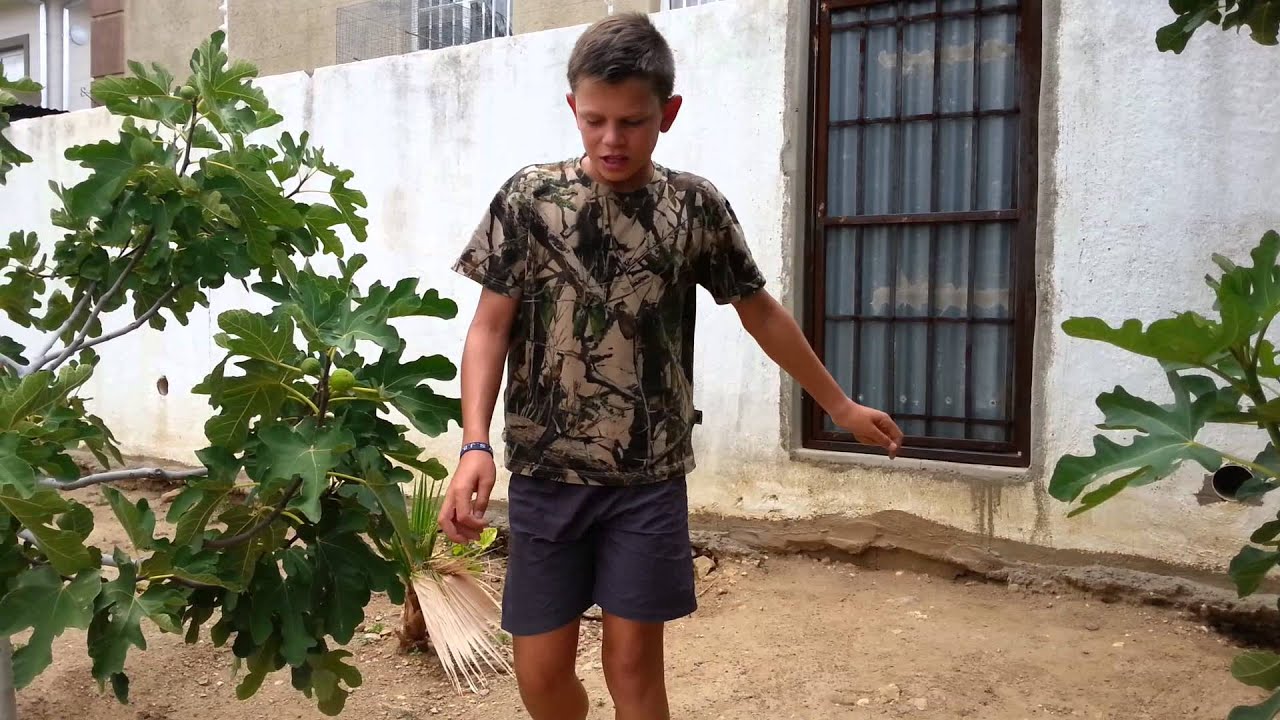How To Make A Bird Trap YouTube how-to-make-a-bird-trap-youtube