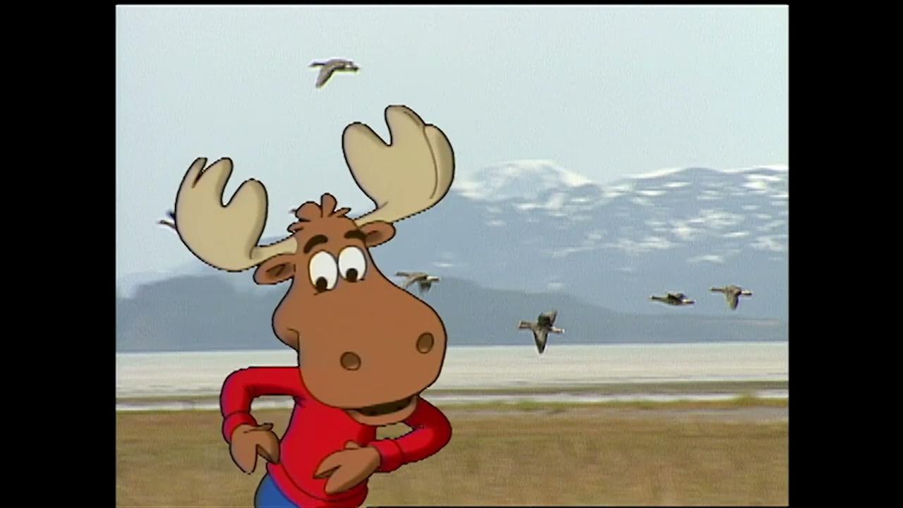 Adventures of Monty the Moose Amazing Alaska Animals - YouTube