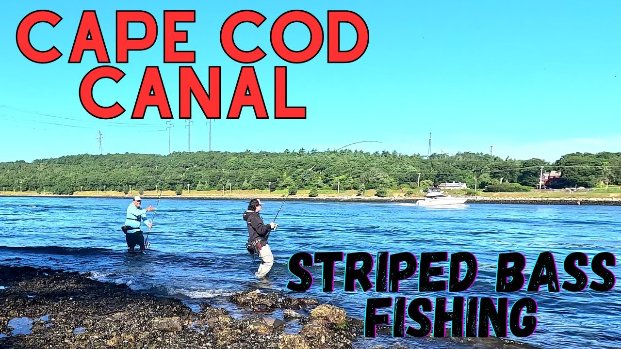 Cape Cod Canal Striped Bass Fishing | The Crew is in Search of Stripers ...
