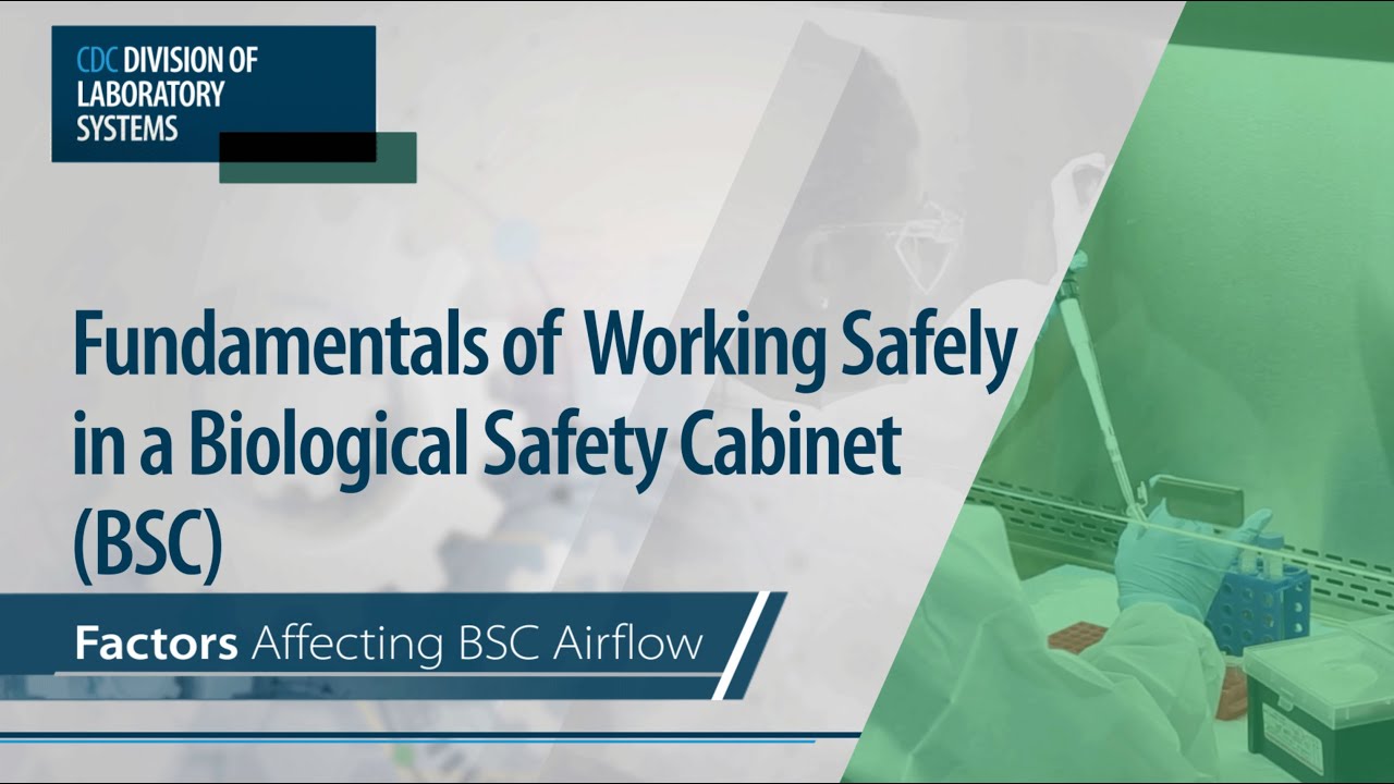 Fundamentals of Working Safely in a Biological Safety Cabinet (BSC ...