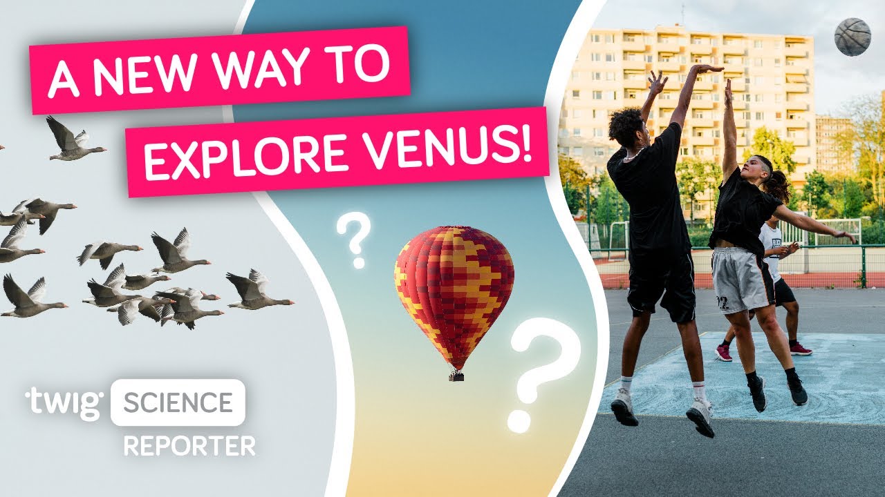 NASA Scientists Discover How to Orbit Venus! | Twig Science Reporter ...