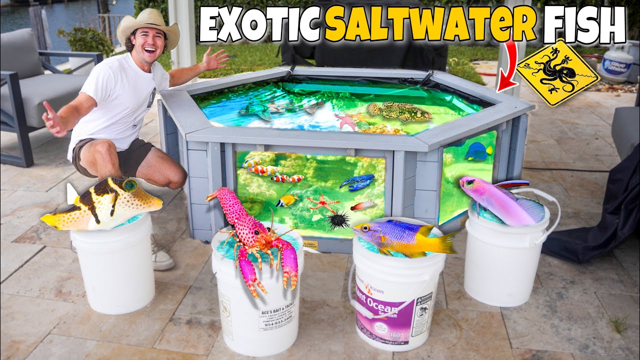 Stocking My SALTWATER PONDS With Tons of EXOTIC Aquarium FISH!! - YouTube
