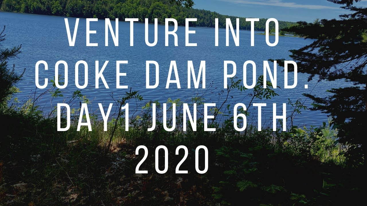 Cooke Dam pond June 2020 - YouTube