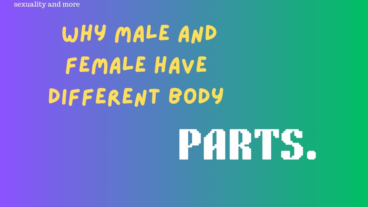 Difference between the female and male body. - YouTube