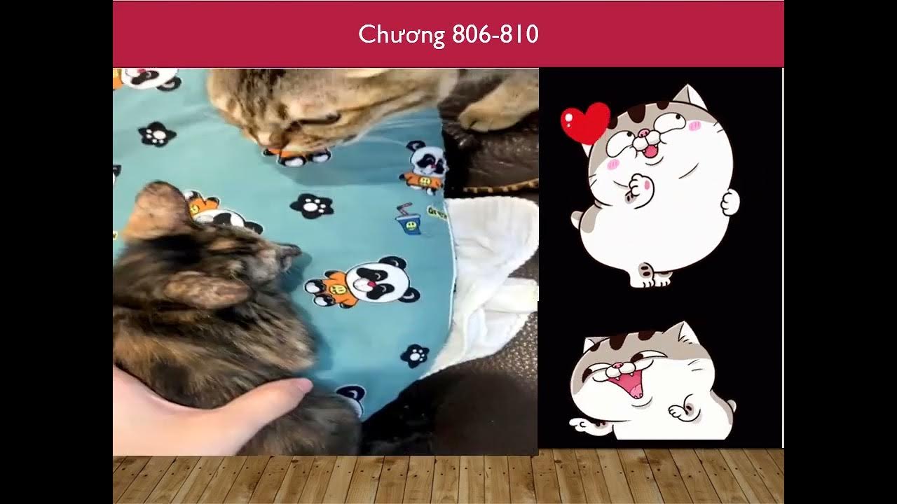 C806-810_ Xấu nữ_Tà giáo - YouTube