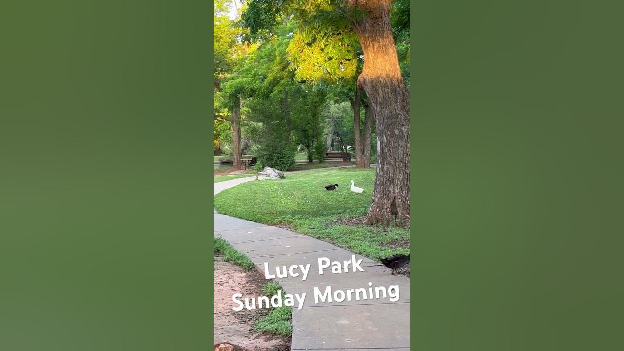 Lucy Park Sunday Morning Youtube
