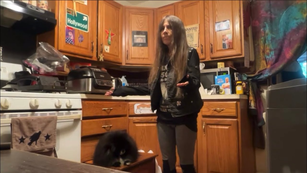 SHENANIGANS IN LUNA’S KITCHEN..#funnyvideo #shortvideo #shortfilm # ...
