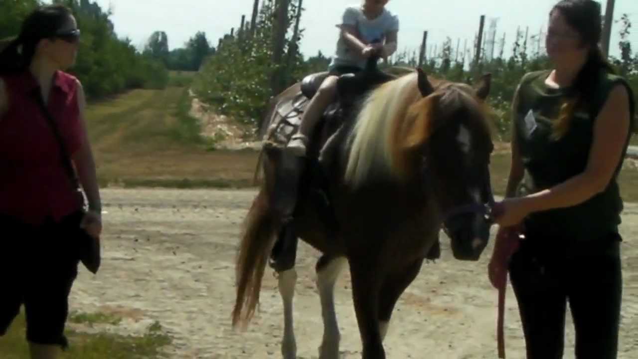 Isabella's First Pony Ride - YouTube