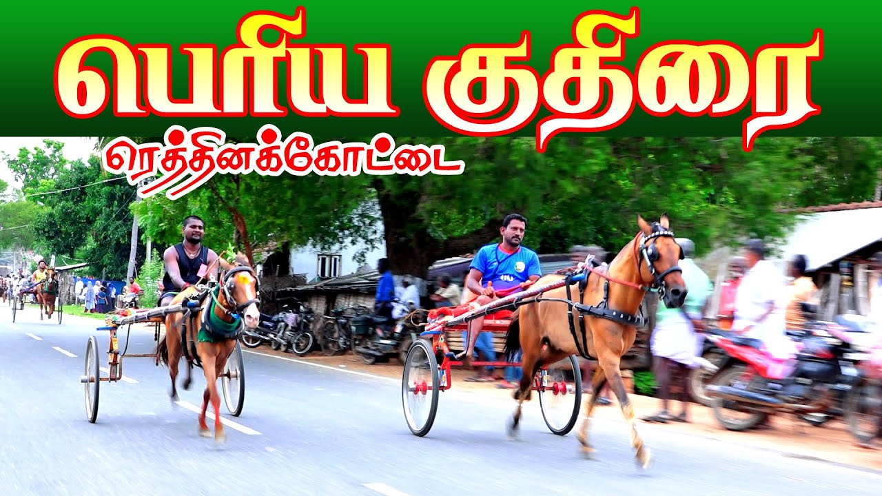 10-05-2023பெரியகுதிரை ரெத்தினக்கோட்டை { Periyakuthirai Pudukkottai ...