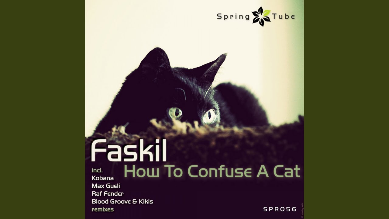 How to Confuse a Cat (Blood Groove & Kikis Remix) - YouTube