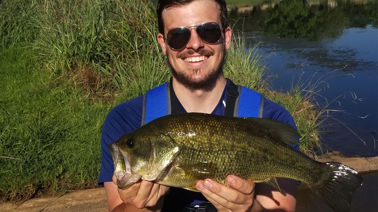 Catching FOOTBALL bass and a big barbel! (breaking my PB) - YouTube