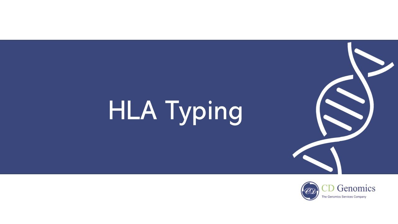 HLA Typing: Key Types, Testing Methods, and Transplant Significance ...