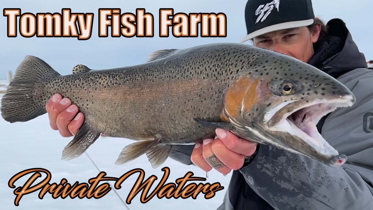 Our First Time Ice Fishing Private Water - TOMKY FISH FARM - YouTube
