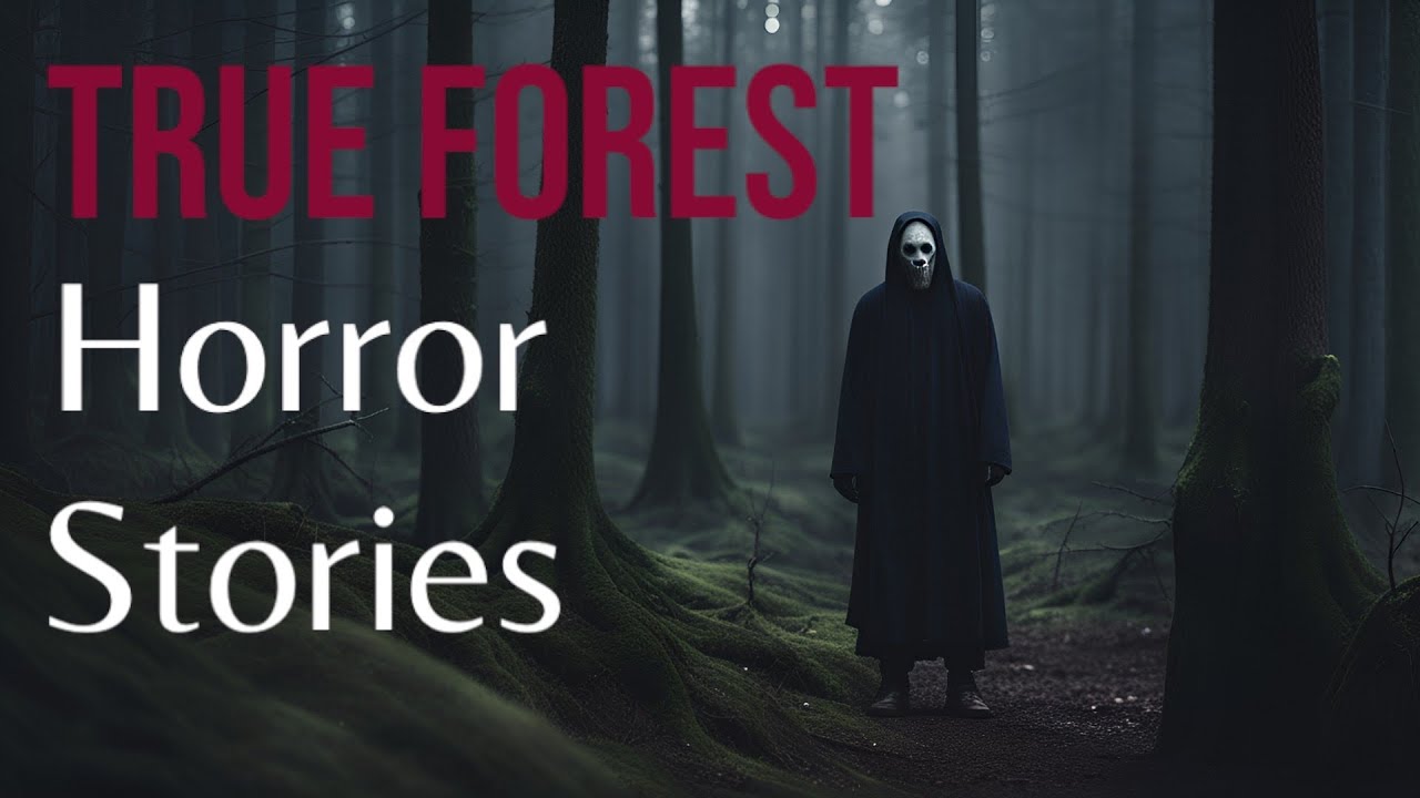 3 TRUE Forest Horror Stories - YouTube