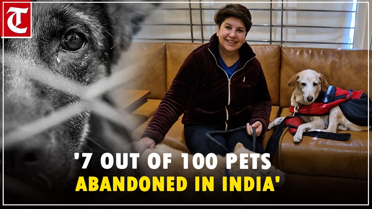 Heartless abandonment: Why are pets being left behind by insensitive ...