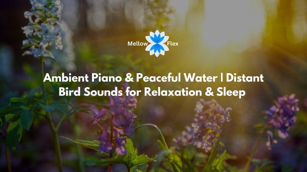 Relaxing Ambient Music | Soft Piano, Gentle Water & Peaceful Nature ...