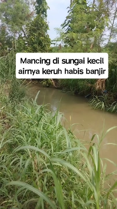 Mancing ikan di sungai sawah, airnya keruh habis banjir | Bumi Menoreh | Random Video | # ...