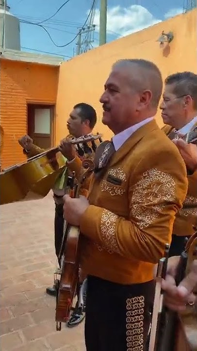 La bruja Arpa Mariachi Real Tamazula - YouTube