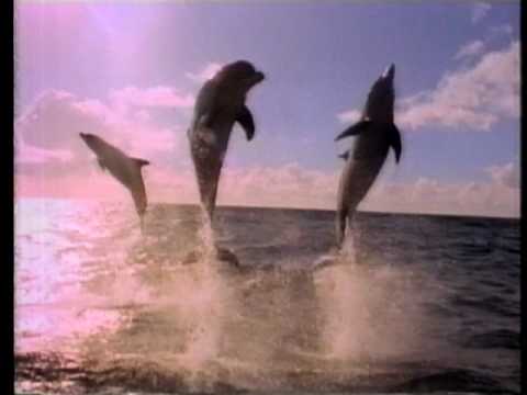 DuPont Conaco Double-Hulled Oil Tankers Seal Clapping Commercial (1991 ...