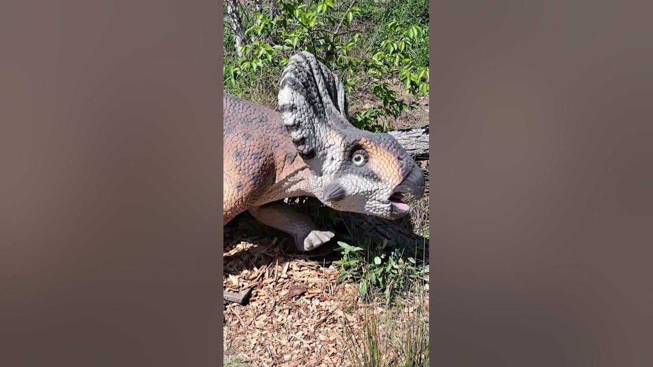 Staying Power Be Distinct Or Go Extinct dinosaurs At The philadelphiazoo YouTube staying-power-be-distinct-or-go-extinct-dinosaurs-at-the-philadelphiazoo-youtube