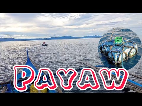 Mga Payaw sa Laot | Ang Linaw - YouTube